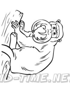 Emperor Tamarin Monkey – Animals Coloring Book Pages Sheets – Kids Time ...